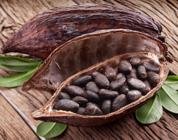 Fave di cacao: proprietà, benefici, controindicazioni e ricette